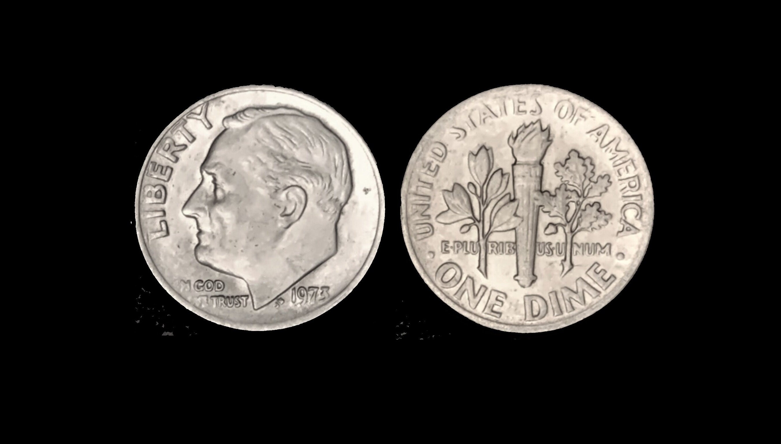 1973 Roosevelt Dime - Excellent Condition – Treasure Hunter Co