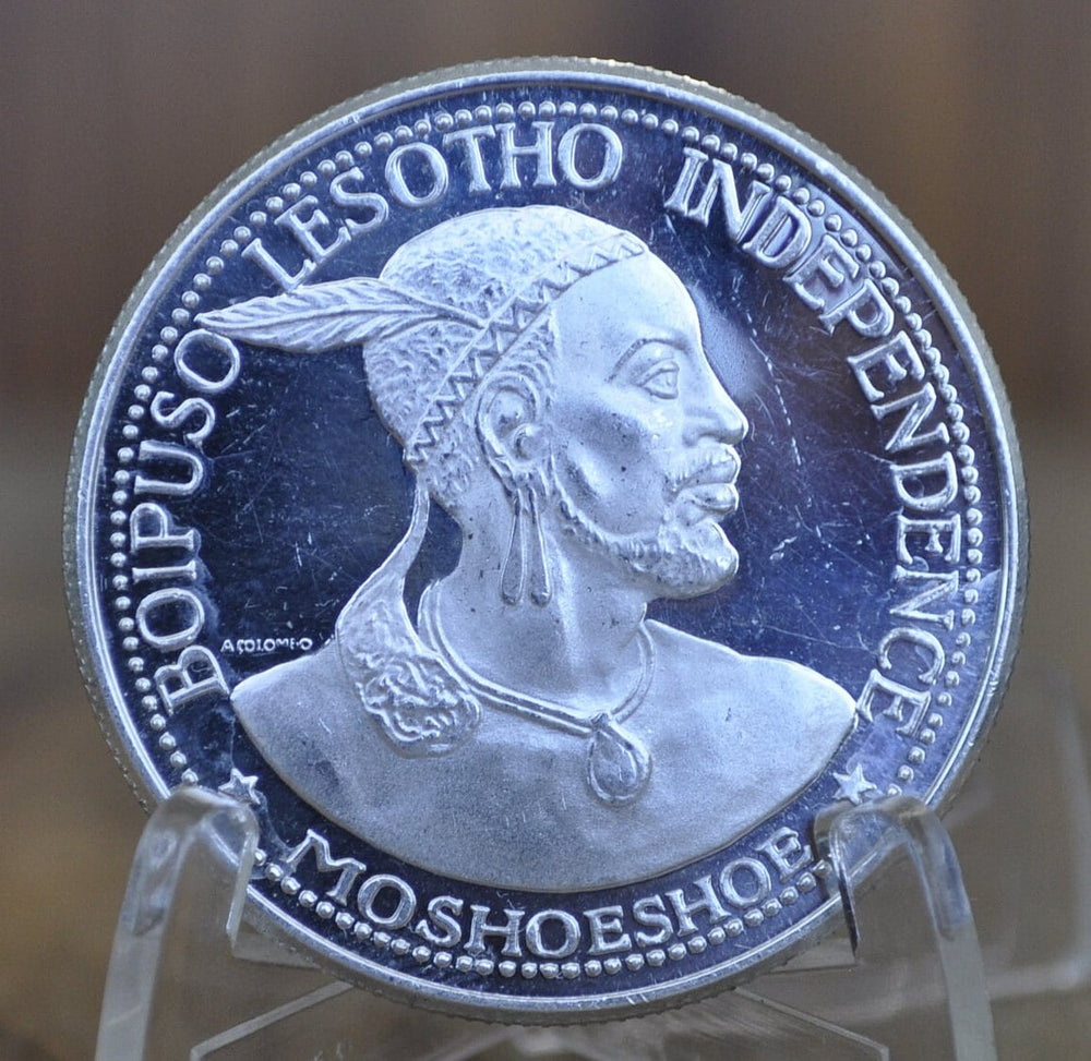 Collections – Treasure Hunter Co